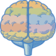 Whole Brain Brand Positioning