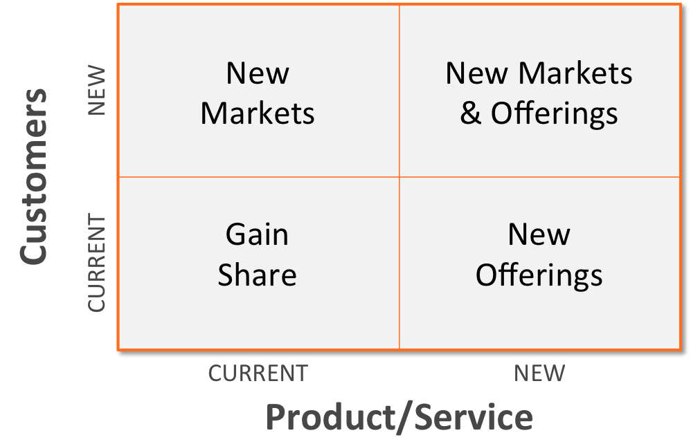 CMO Business Growth Strategies | Business Strategic Analysis