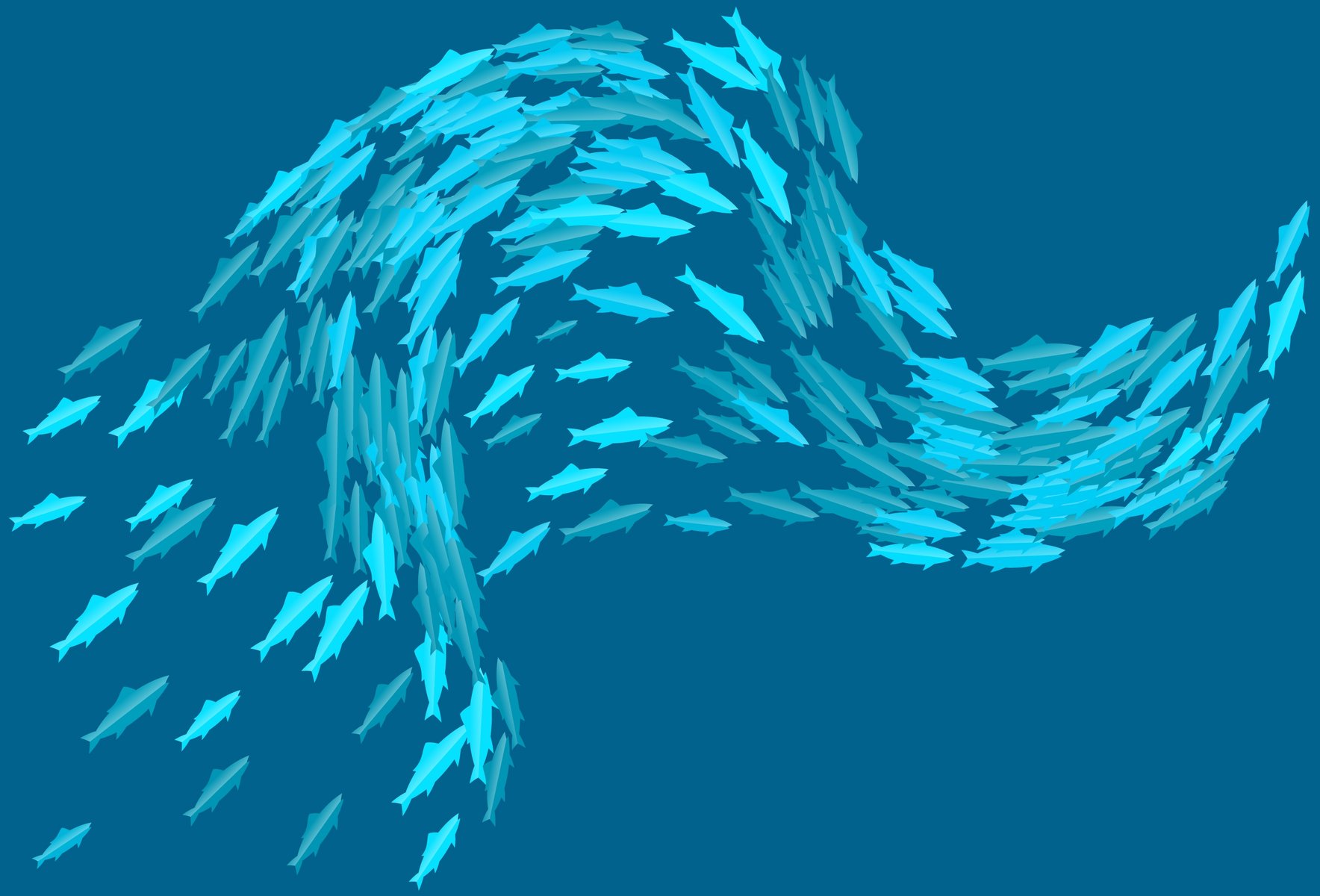 What Nemo Knows About Organizational Success: Six Steps to Mastering ...