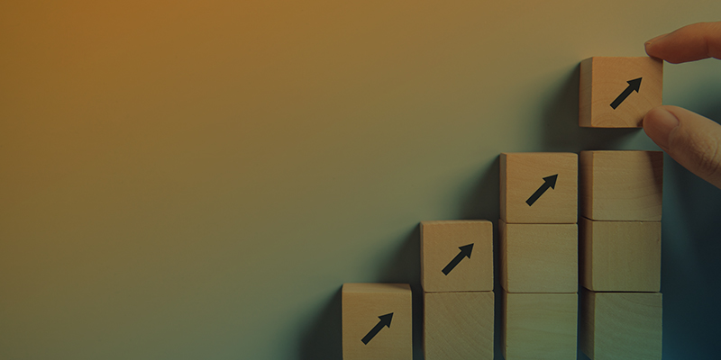 Dutch Valley Foods - Growth Engine for a Purpose-driven Bulk Foods ...