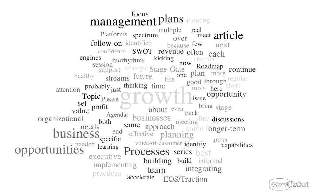 How Healthy Business Management Processes Sustain Business Growth